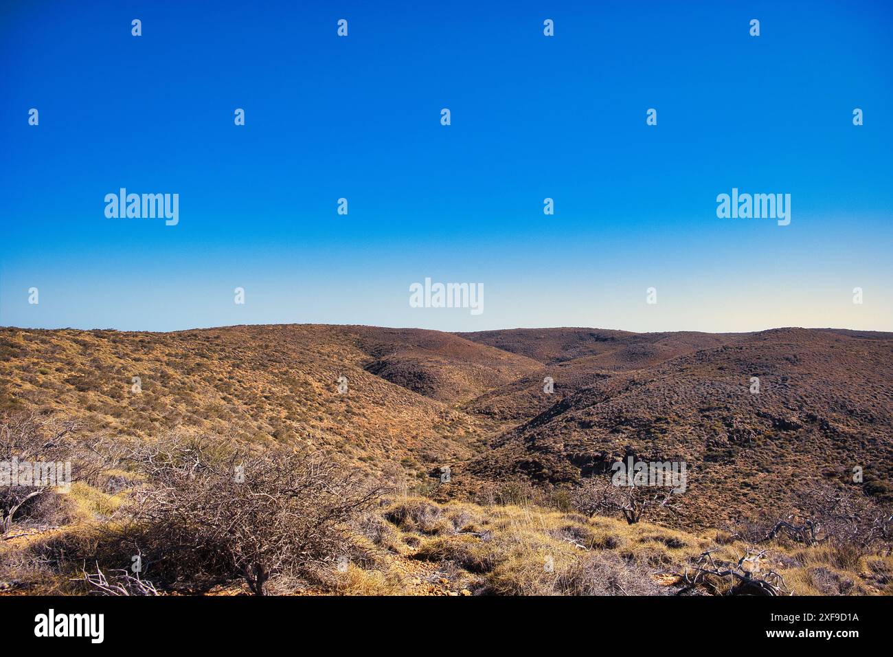 Rolling hills with sparse outback vegetation in the arid inland part of ...