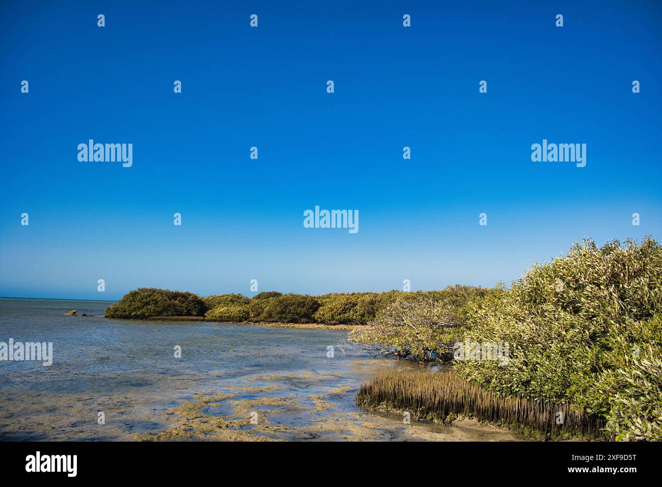 The shallow coast of the bird sanctuary Mangrove Bay in Cape Range ...