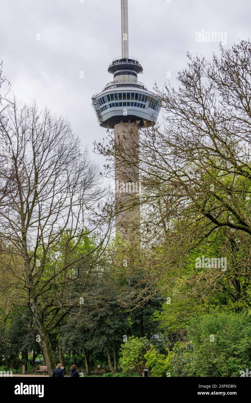 A tall television tower rises above a green park with blossoming trees ...