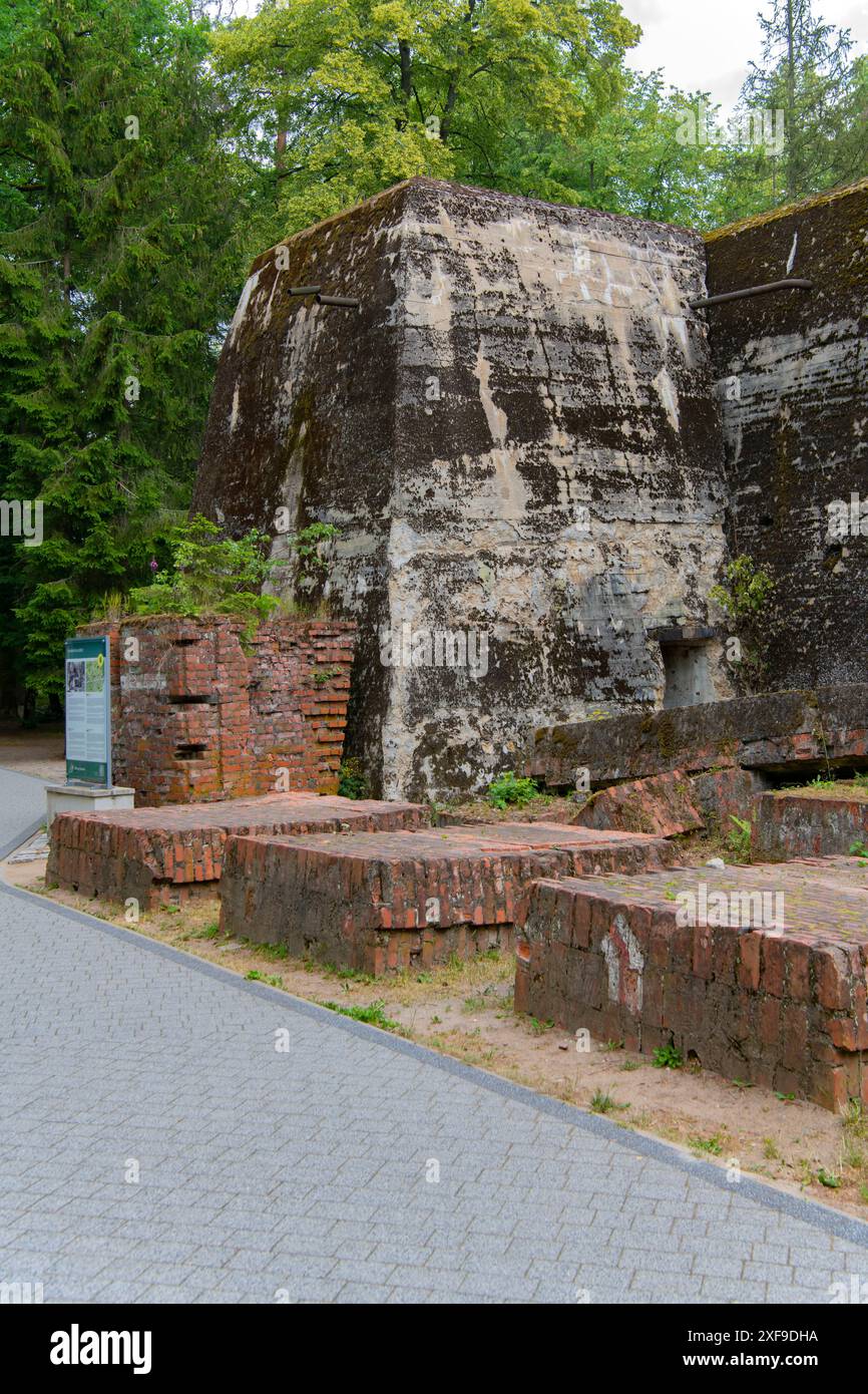 Wolf Lair in Gierloz, Poland Stock Photo - Alamy