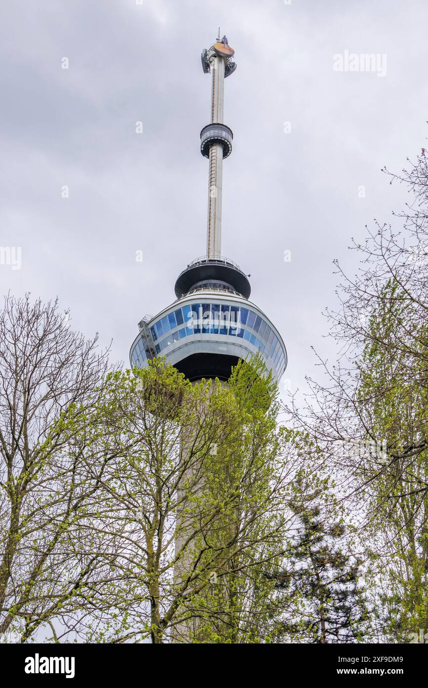 High television tower rises above the trees under a slightly cloudy sky ...