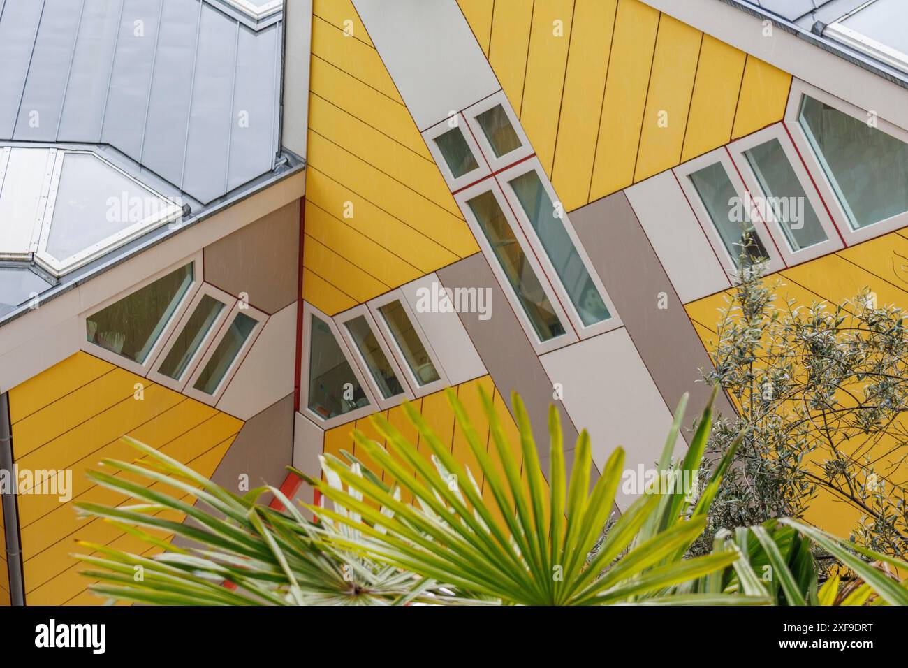 Cube houses with yellow facades and slanted windows, palm leaves in the ...