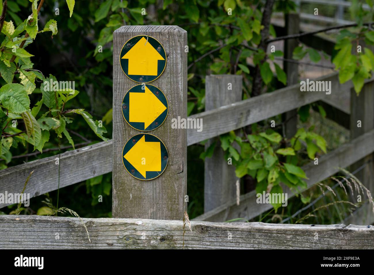 Public footpath yellow arrows, Warwickshire, England, UK Stock Photo ...