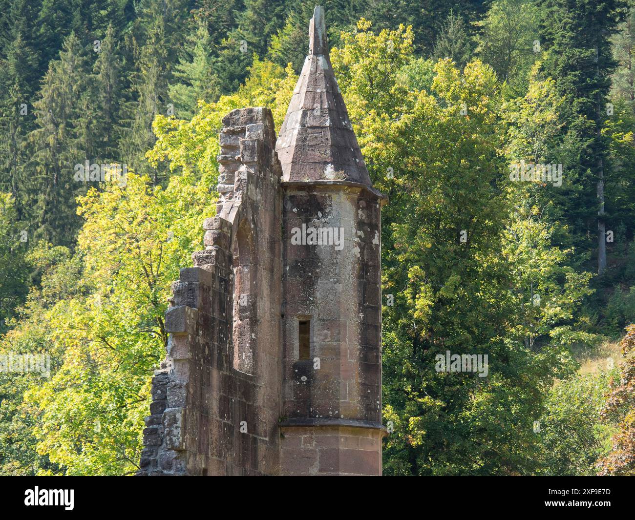 A medieval stone tower ruin surrounded by green forest, freudenstadt ...