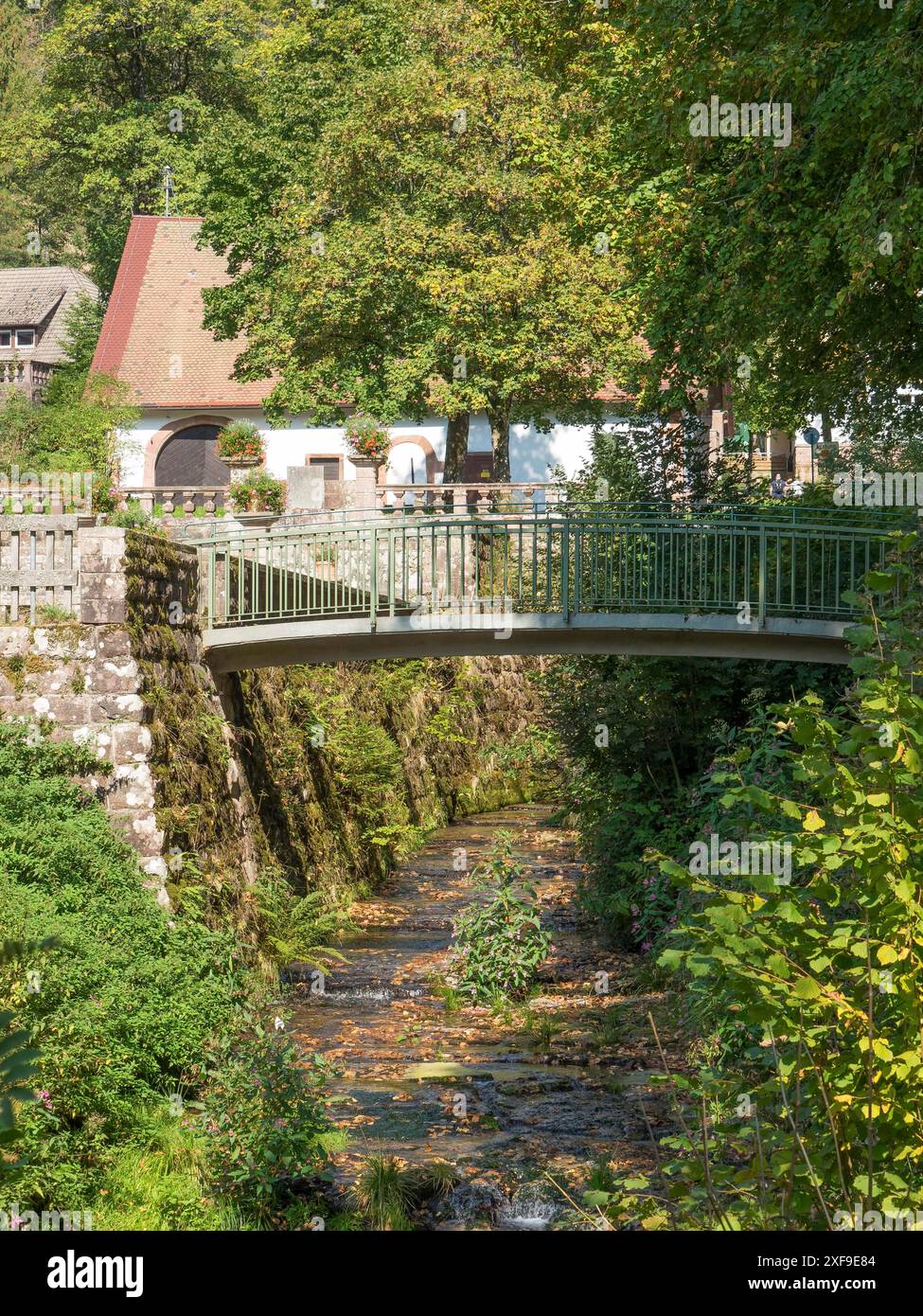 Small bridge over a river, surrounded by green nature and village ...