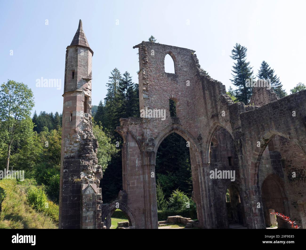 An old ruin in a forest with Gothic arches and dilapidated walls under ...