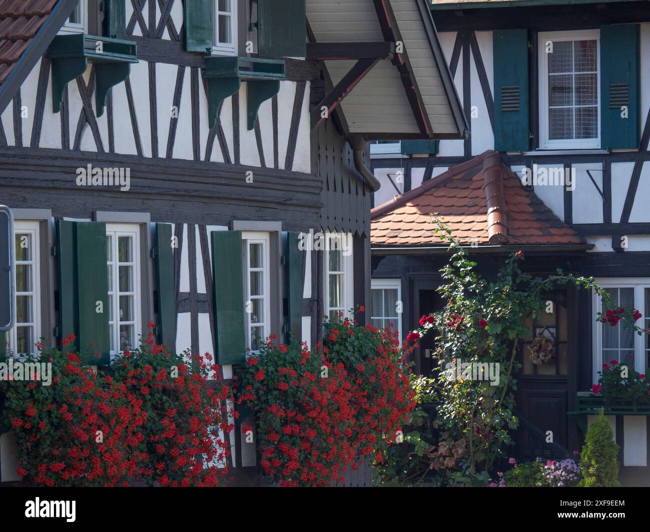 A traditional half-timbered house with green shutters and blooming ...