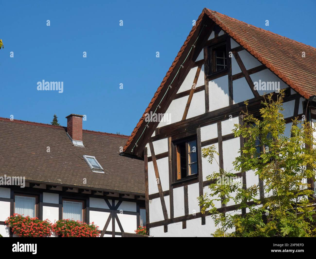 Two traditional half-timbered houses in a village, under a clear blue ...