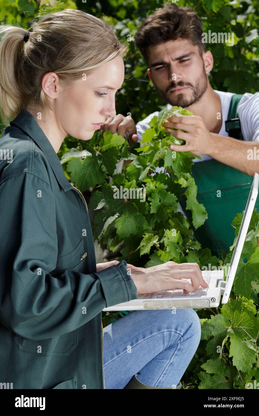 technician using computers overlooking vats Stock Photo - Alamy