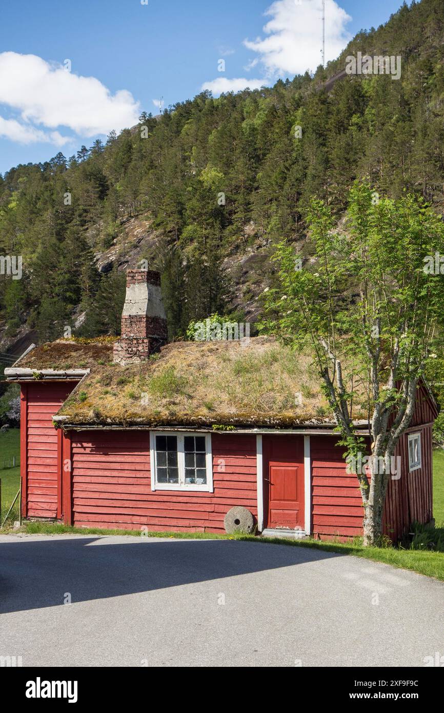 Small red house with grass roof in front of wooded hills, flam, norway ...