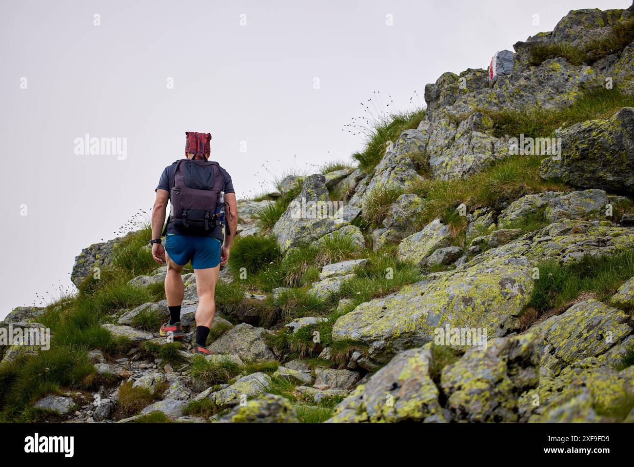 A middle-aged man walking on the mountain Stock Photo - Alamy