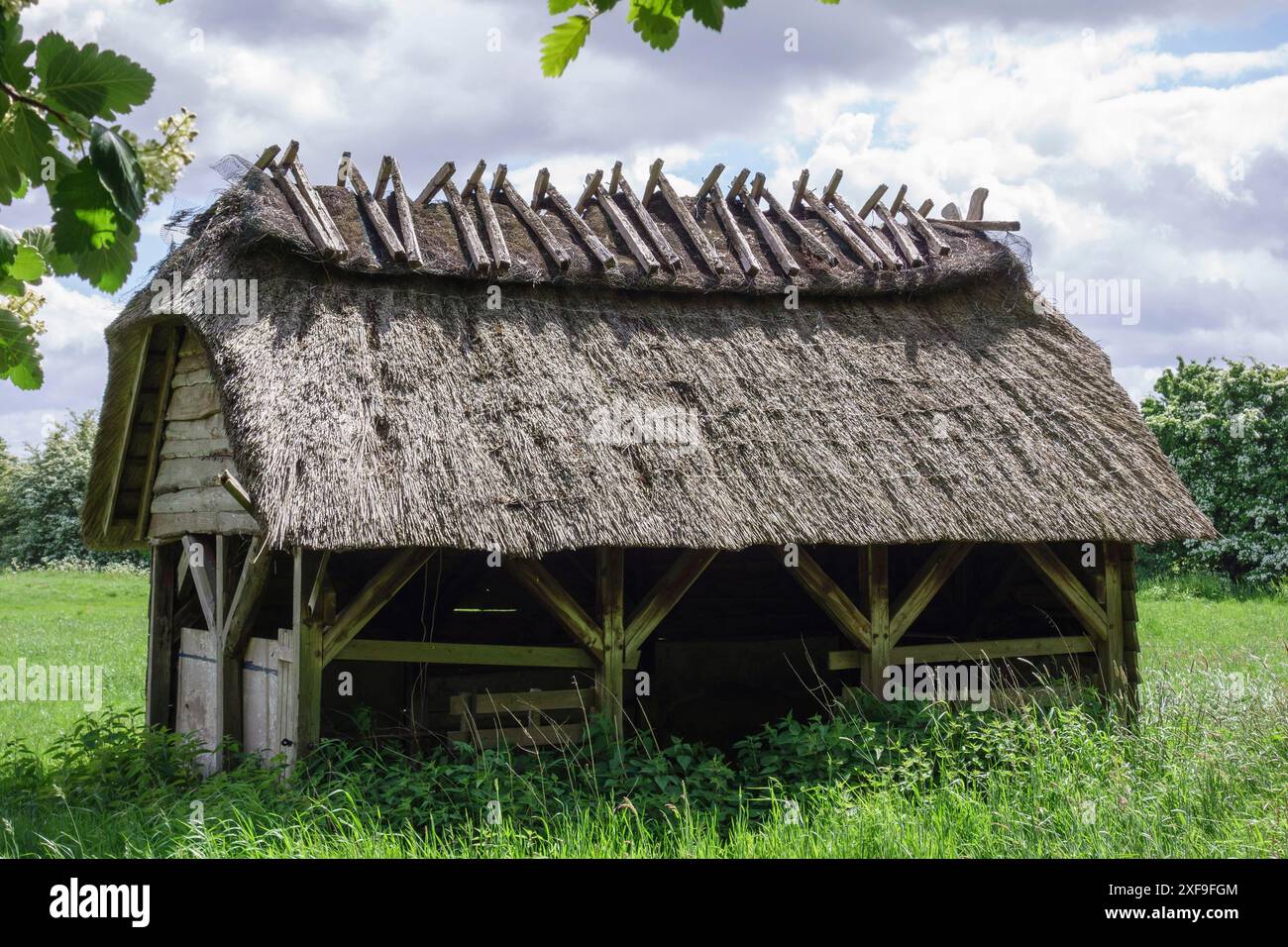 Barn with thatched roof and wooden beams on a green meadow and cloudy ...