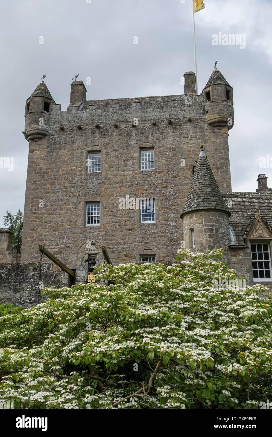 Old castle with stone walls and towers surrounded by blossoming trees ...