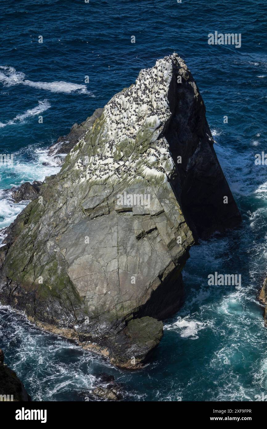 Large rock jutting out of the roaring sea under a blue sky, LERWICK ...
