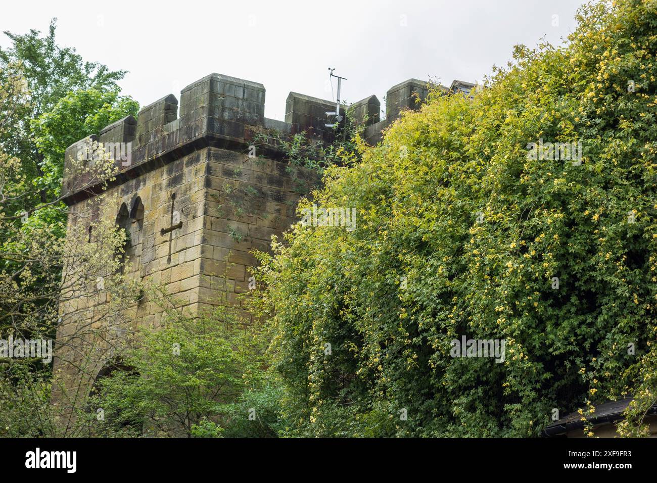 Medieval stone tower of a castle overgrown with ivy, newcastle, England ...