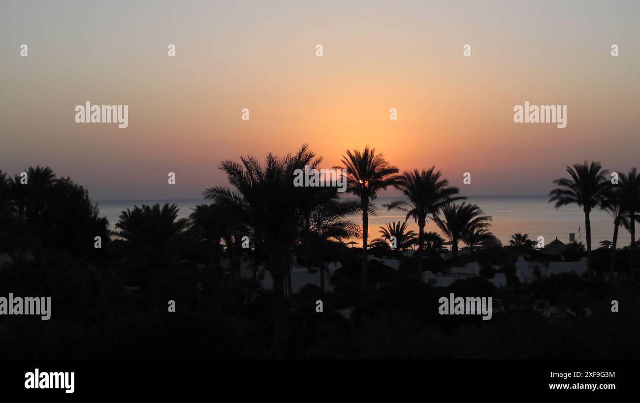 Landscape of beautiful early morning, Red Sea, Egypt Stock Photo - Alamy