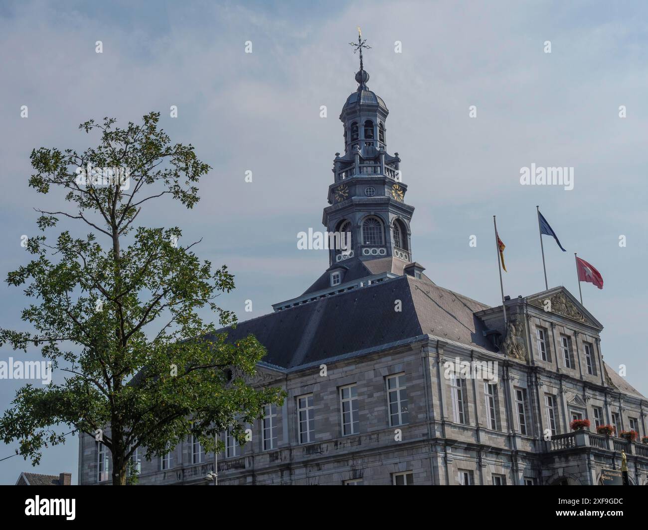 City hall with a high tower, flags and a neighbouring tree in front of ...