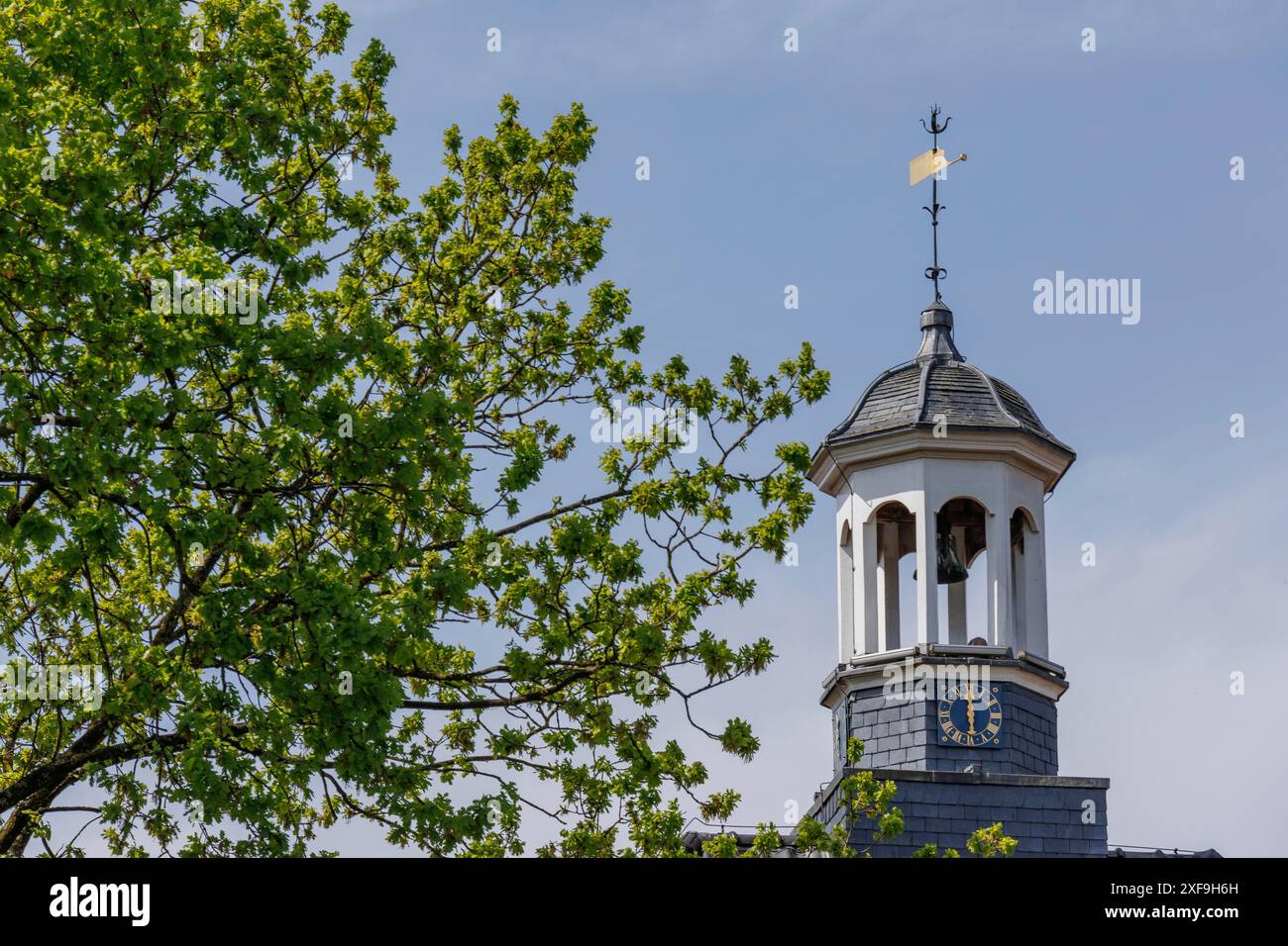 Historic tower with clock next to green tree and blue sky, ootmarsum ...