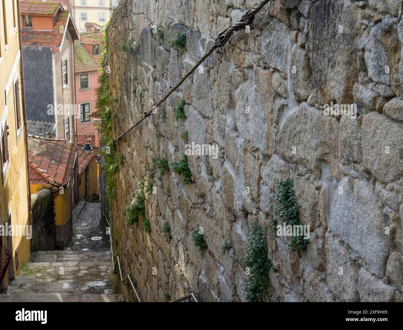 Narrow stone alley with stairs, flanked by old walls and plants, porto ...