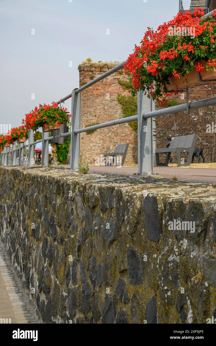 A flower railing along a wall in front of a brick building, Rees ...