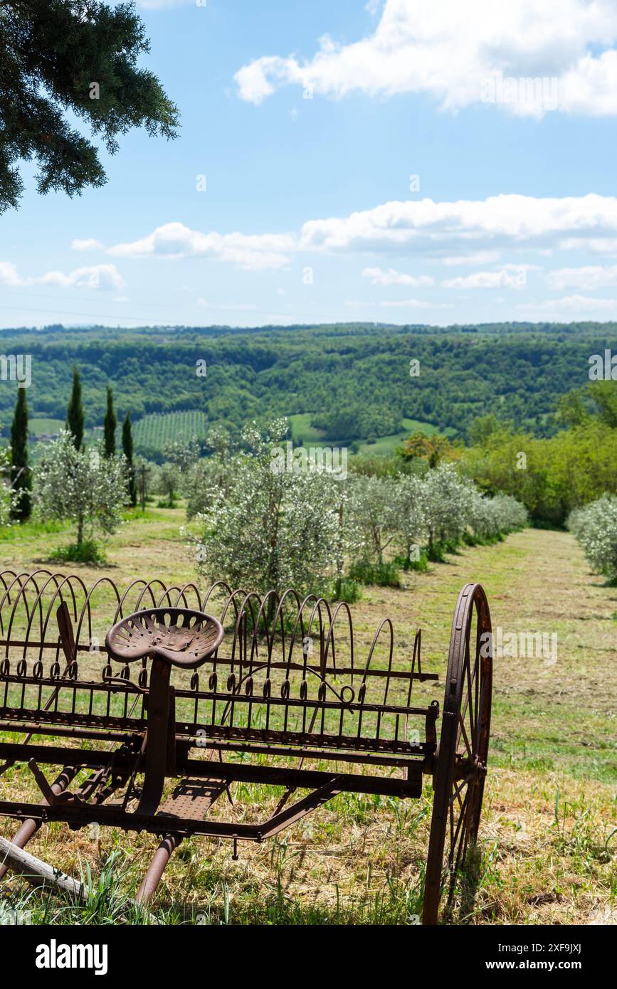 Umbrian/Italian olive grove with vintage farm machinery Stock Photo - Alamy