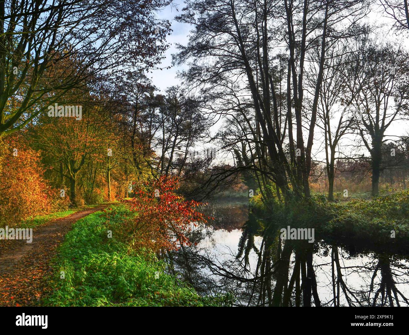 Quiet forest path along a river with autumn leaves and reflections in ...