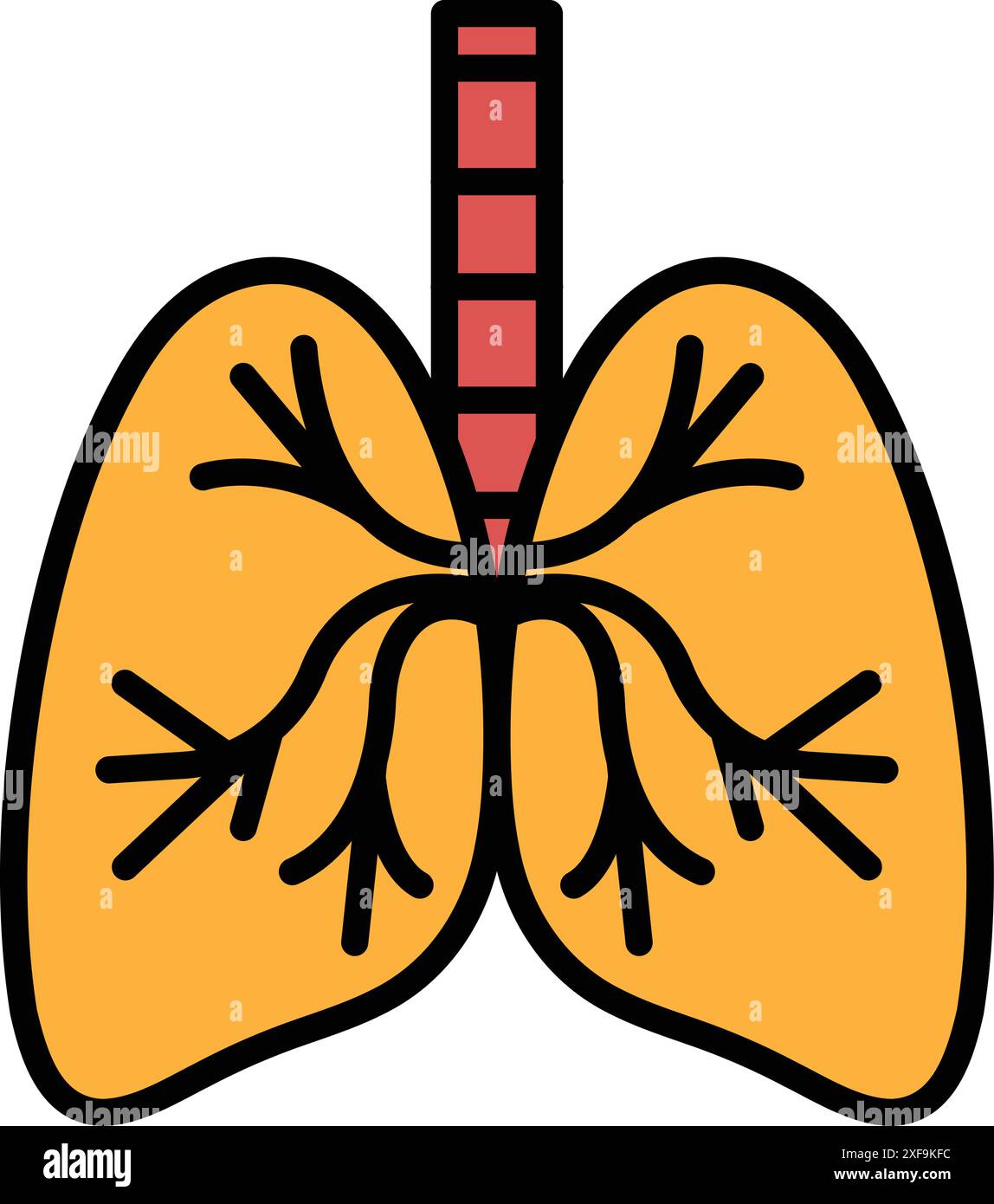 White lung pneumonia Stock Vector Images - Alamy