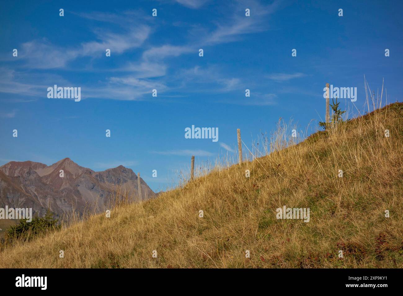 Simple grass hi-res stock photography and images - Alamy