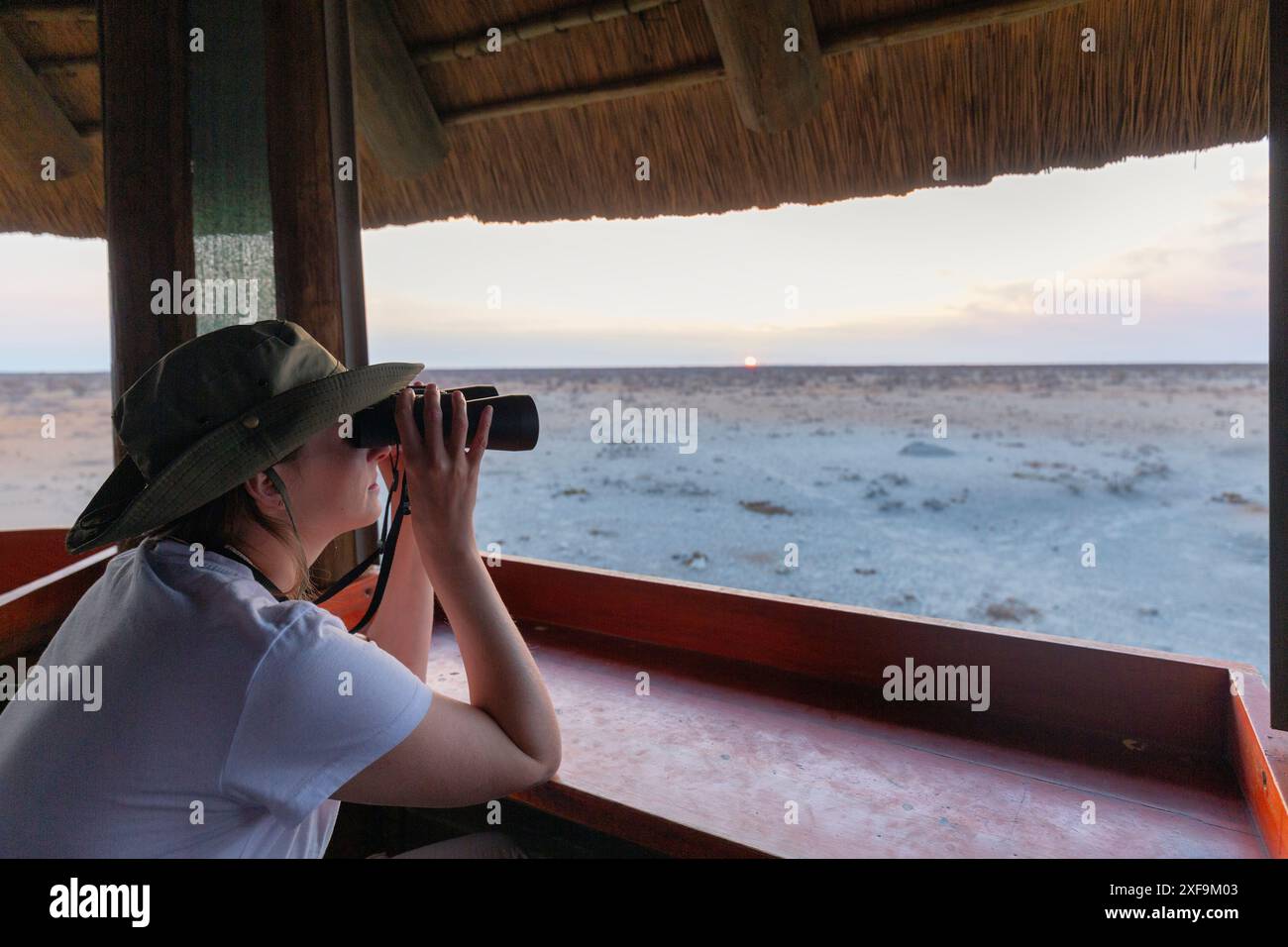 Wildlife safari.Eco travel in the jungle with wild animals elephants ...