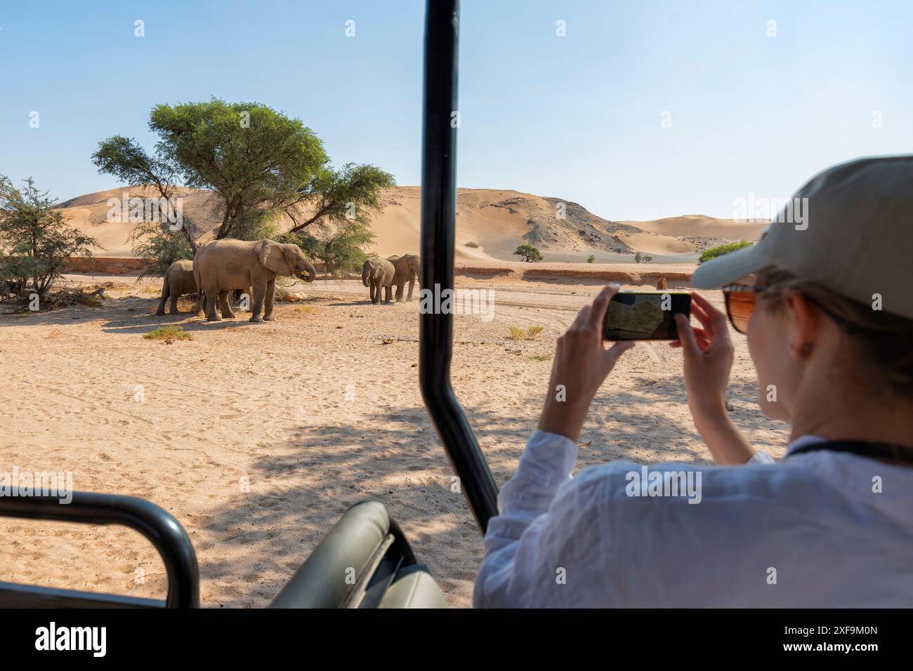 Woman tourist on safari in Africa, traveling by car with an open roof ...