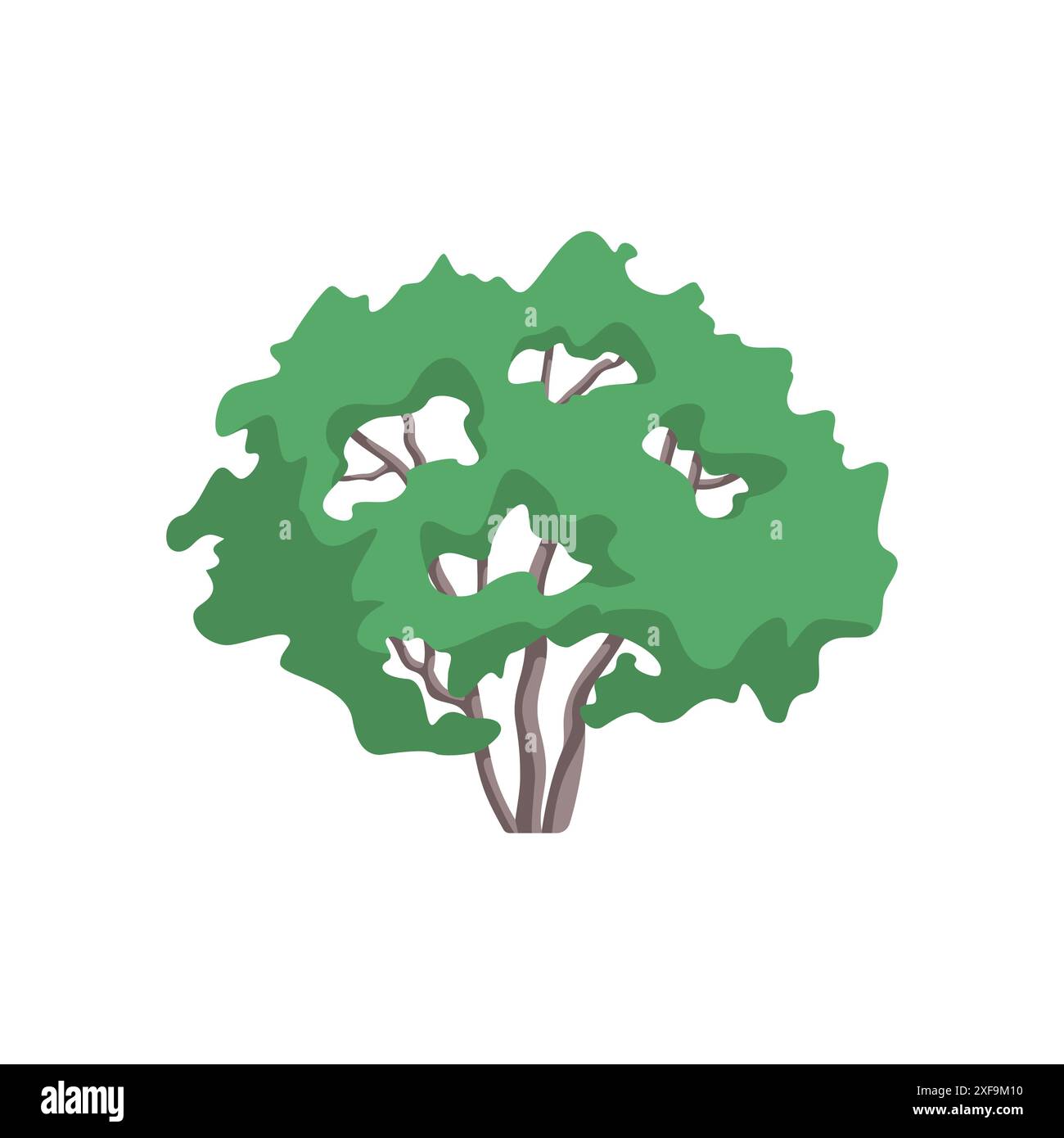 Green summer minimalist tree, nature from garden or park landscape ...