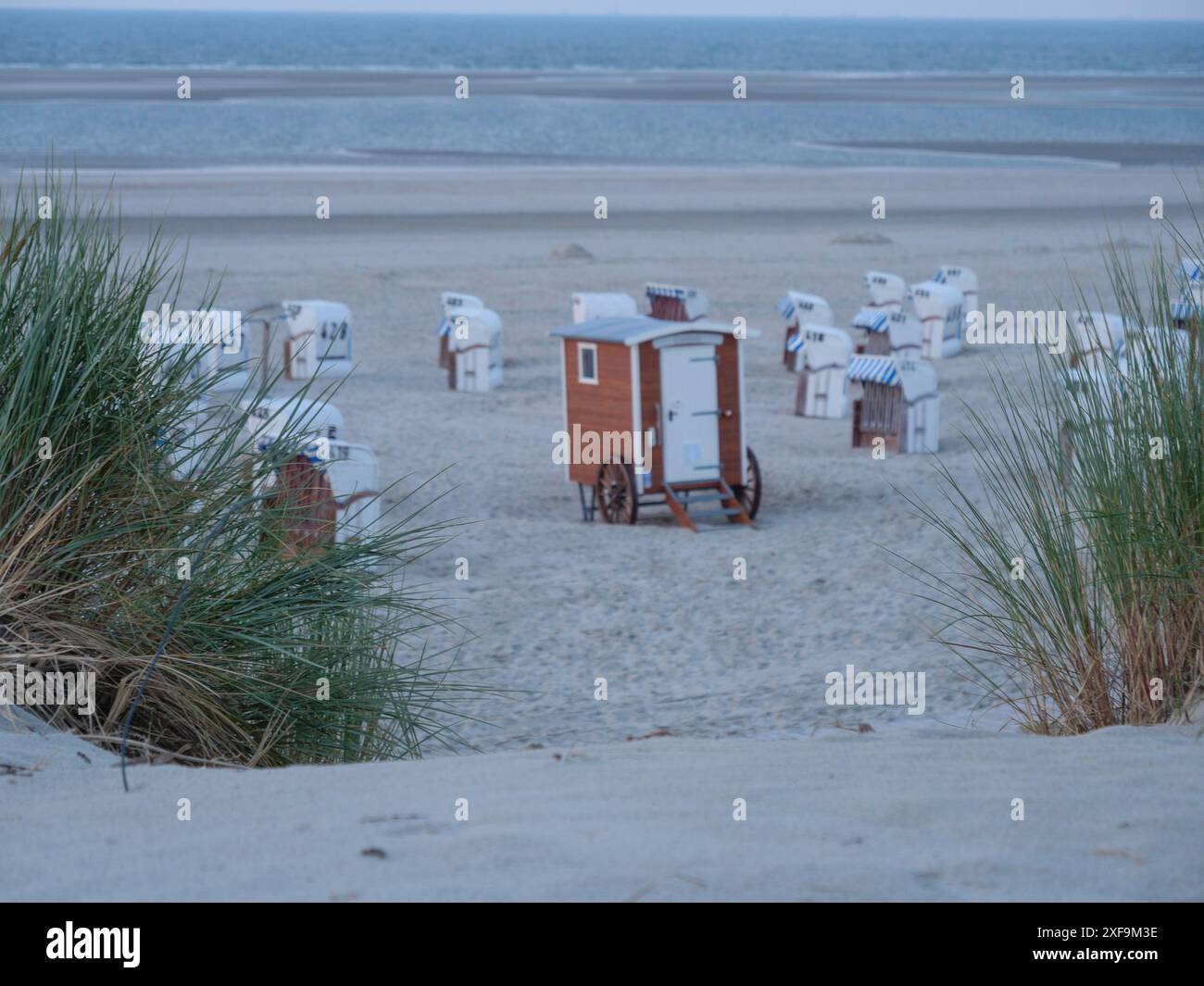 Beach section with scattered beach chairs, sand dunes and grass under a ...