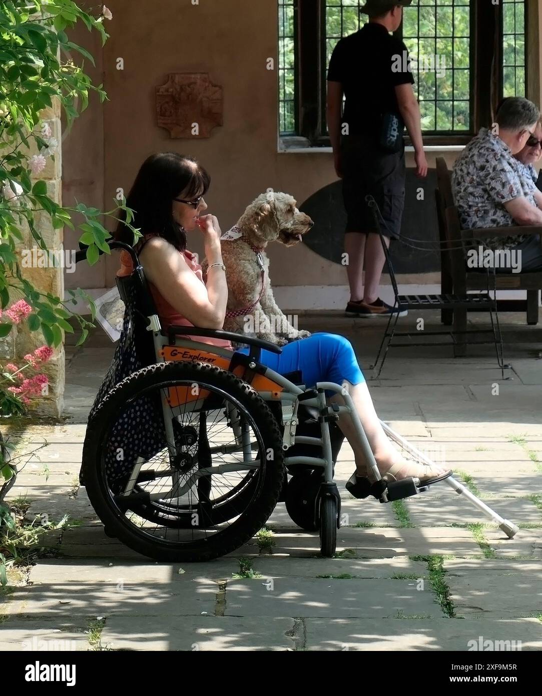 Explorer wheel chair hi-res stock photography and images - Alamy