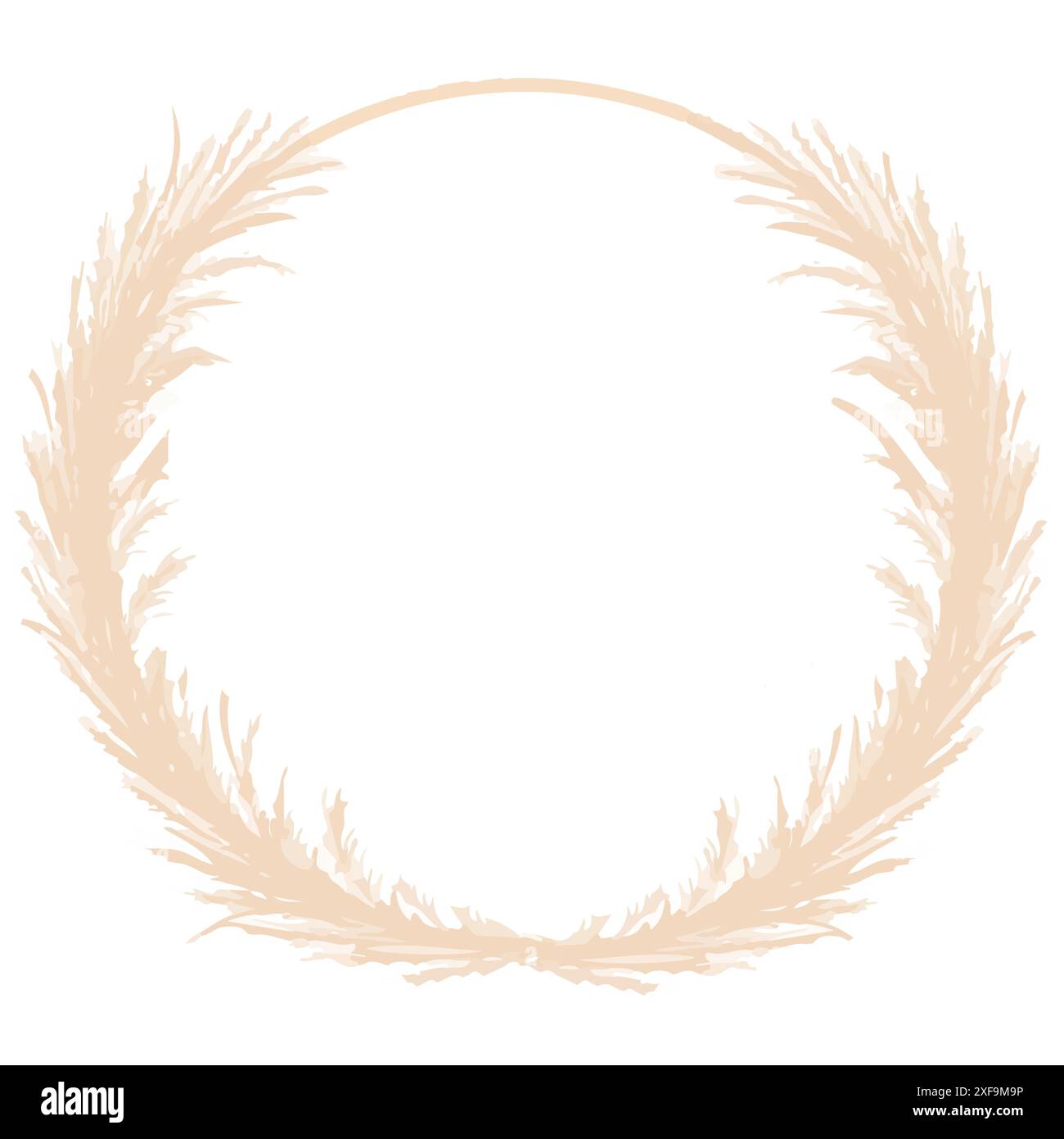 Pampas Grass Circle Wedding Vector Illustration Stock Vector Image