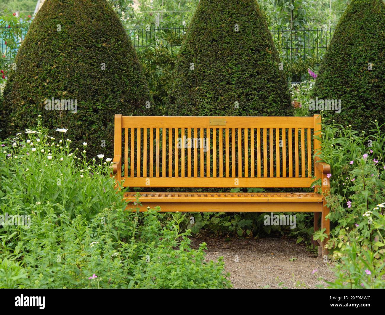 A wooden bench is surrounded by green plants and a hedge in a garden ...