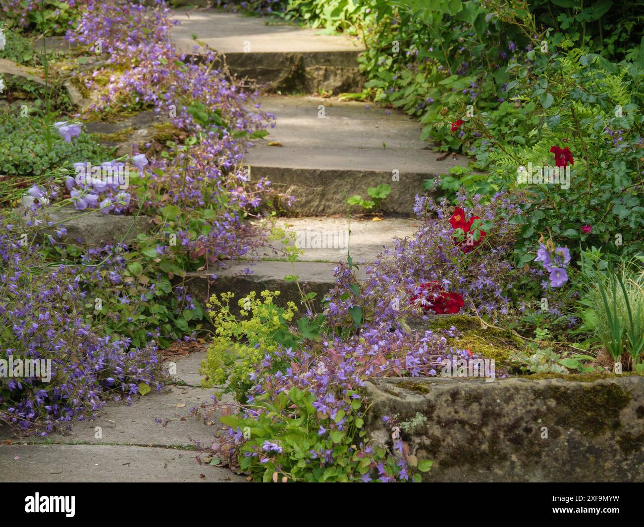 Stone steps, overgrown with colourful flowers, decorating a natural ...