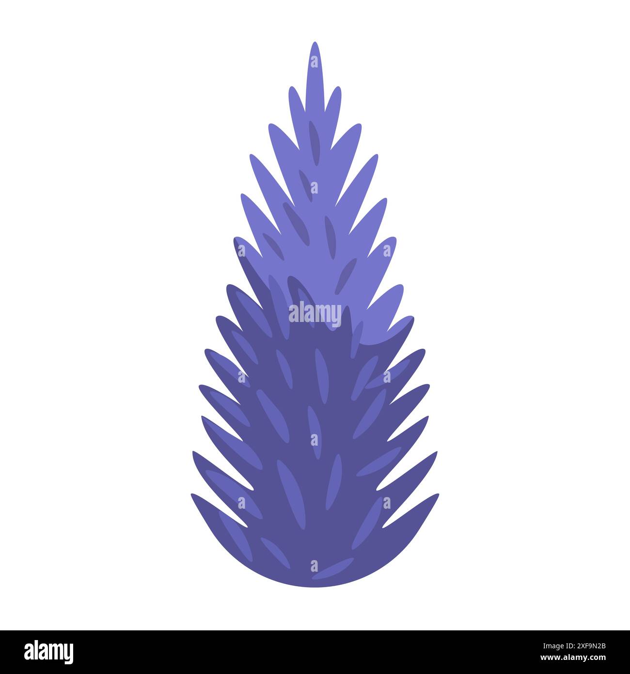One purple tall pine or spruce, large tree from night park or forest ...