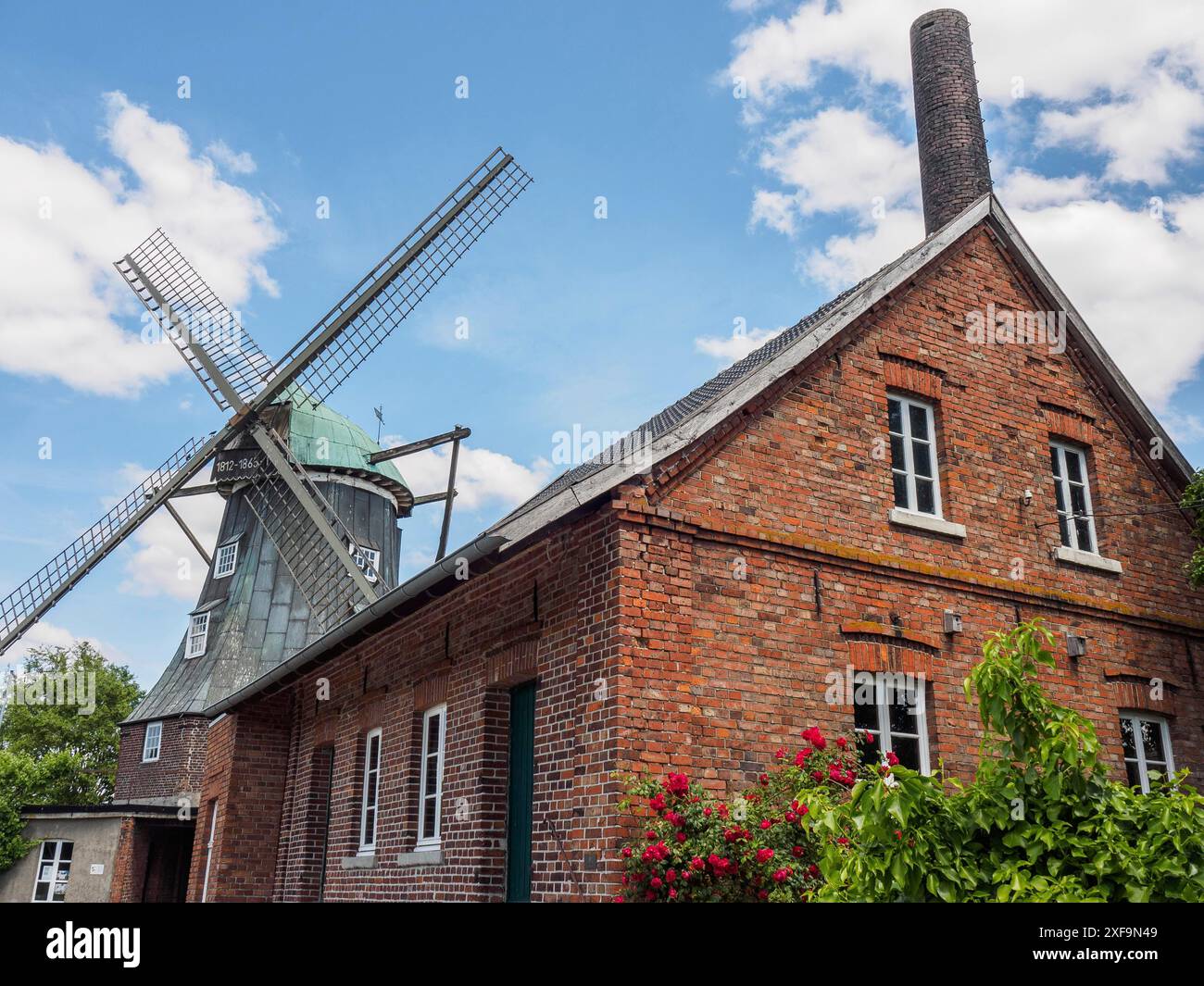Windmill next to a brick building with plants and rose-covered wall ...