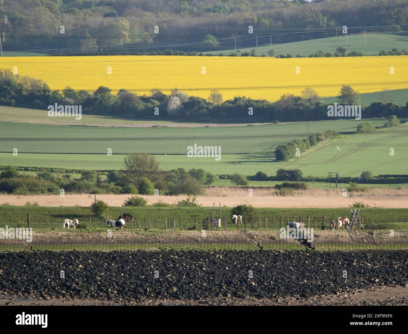 Wide fields and pastures stretch to the horizon under a clear sky ...