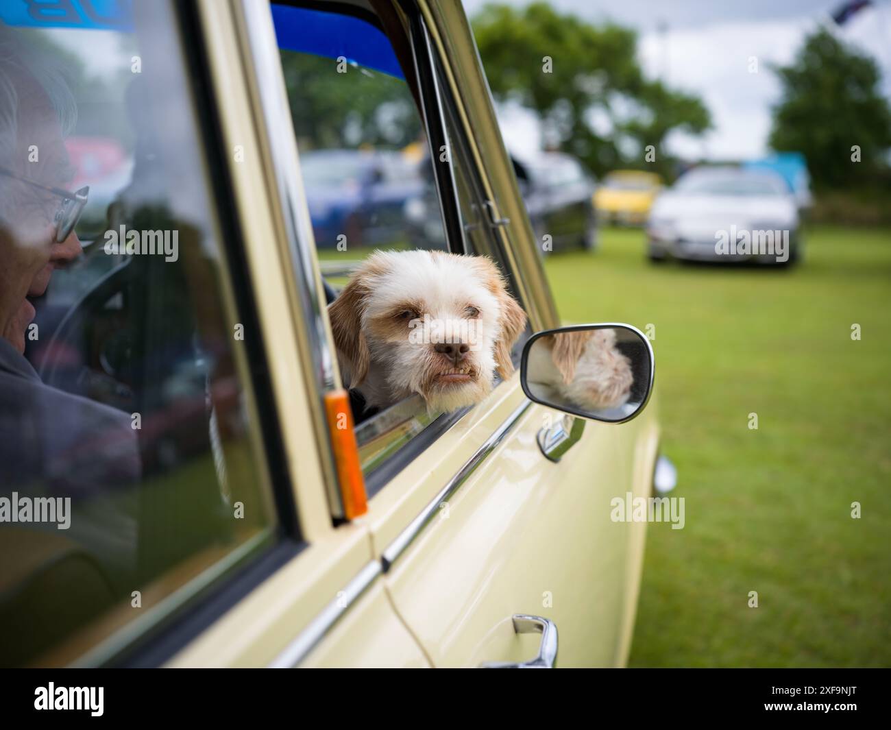 Details of Vintage Classic Car Zephyr at Wendron Car Show Stock Photo ...