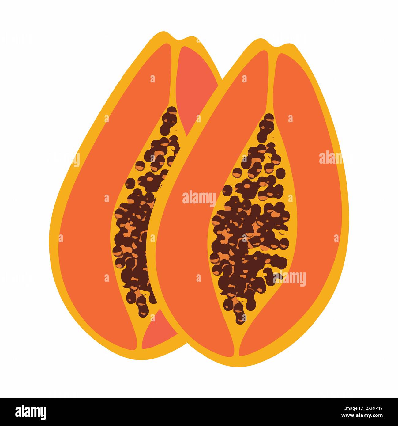 Papaya set design isolated on a white background Stock Vector Image ...