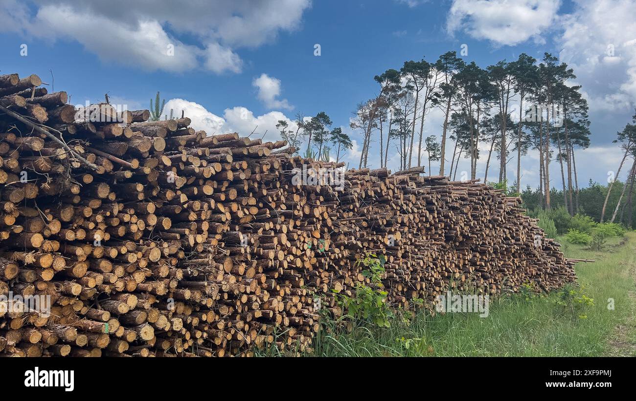 Natural resource collection hi-res stock photography and images - Alamy