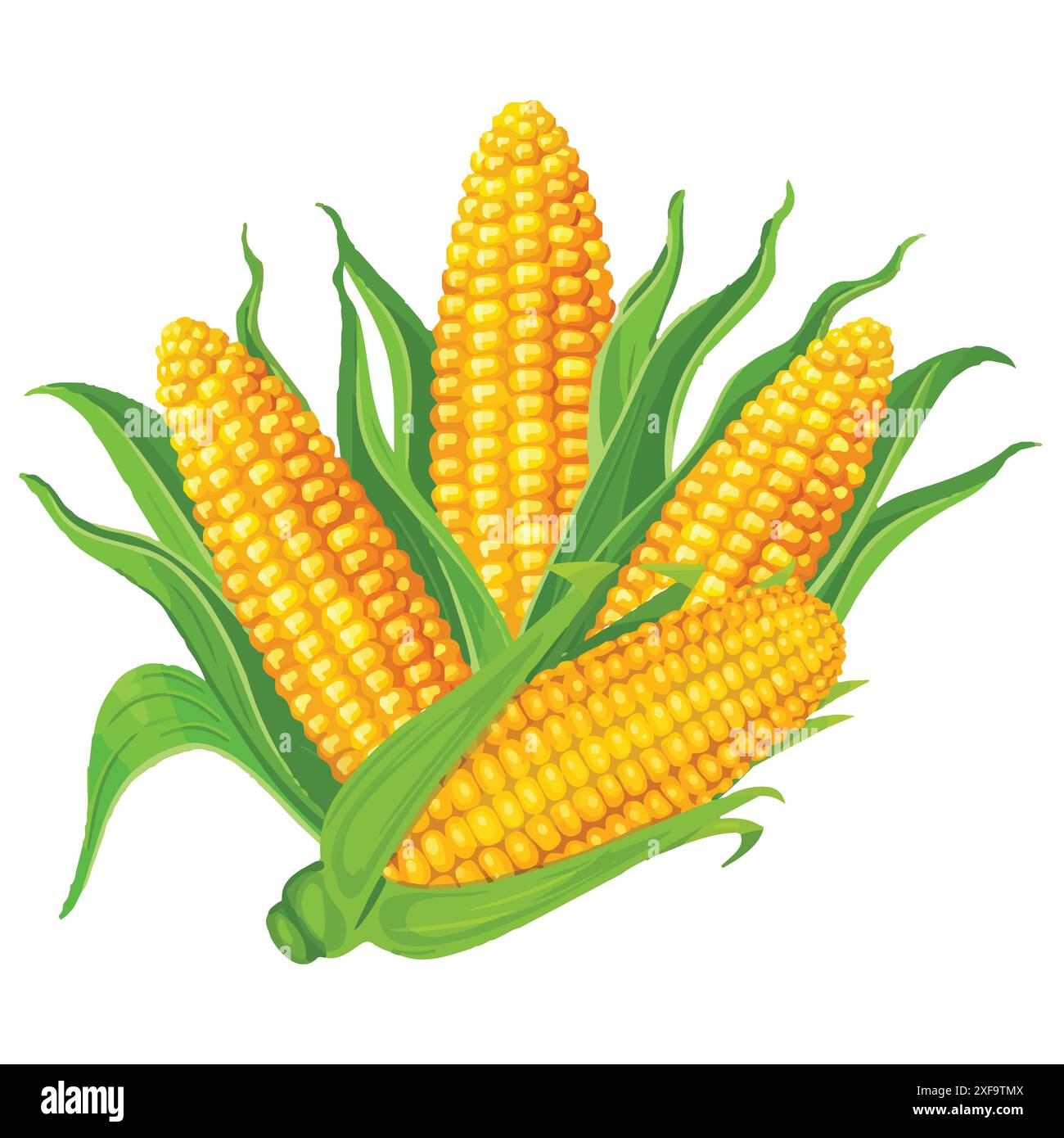 Group four whole fresh Stock Vector Images - Alamy