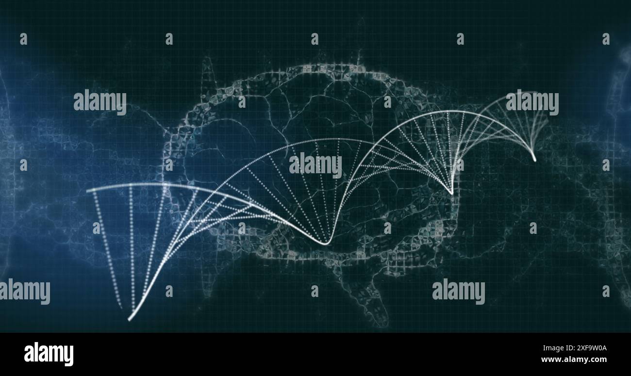 Image of dna strand spinning over human brain Stock Photo - Alamy