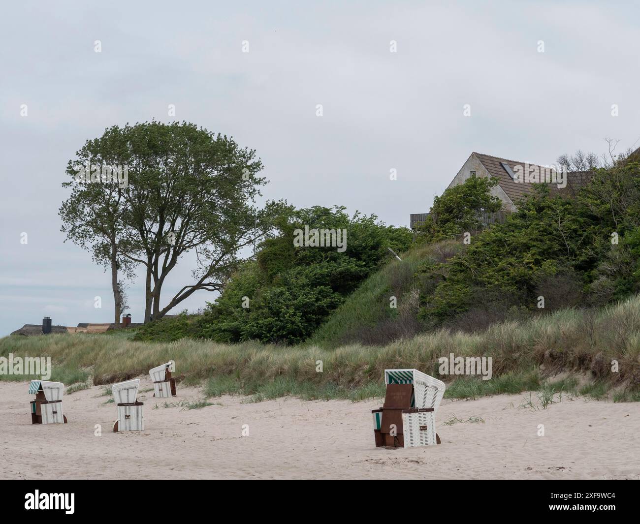 A quiet beach with beach chairs, surrounding dunes and tall trees. The ...