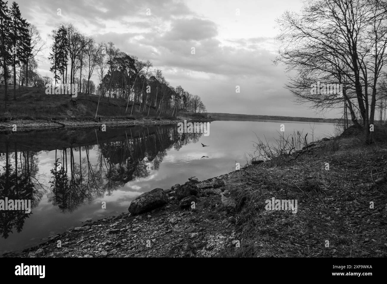 Small pond stream Black and White Stock Photos & Images - Alamy