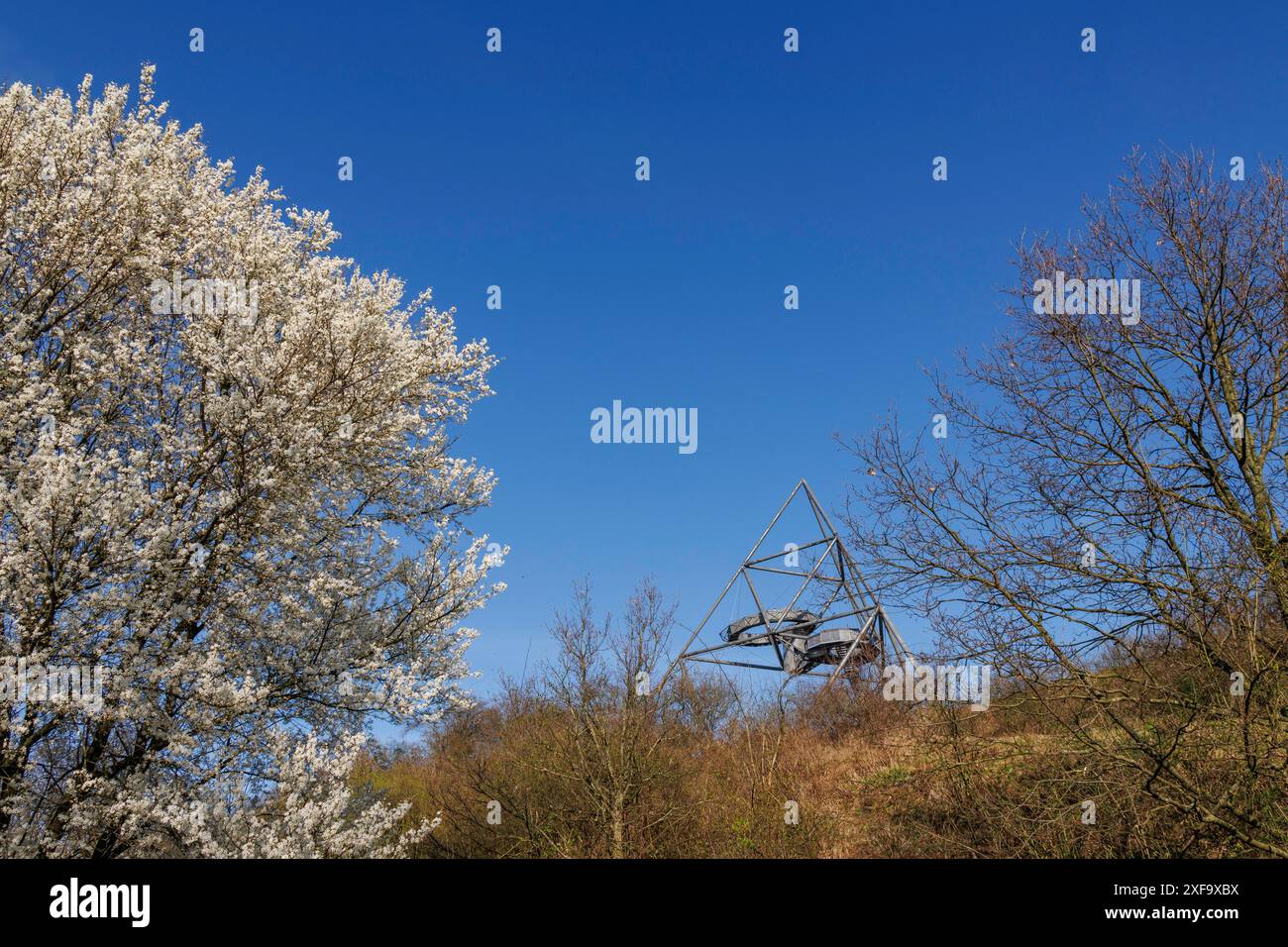 Flowering trees and an art installation in the shape of a pyramid on a ...