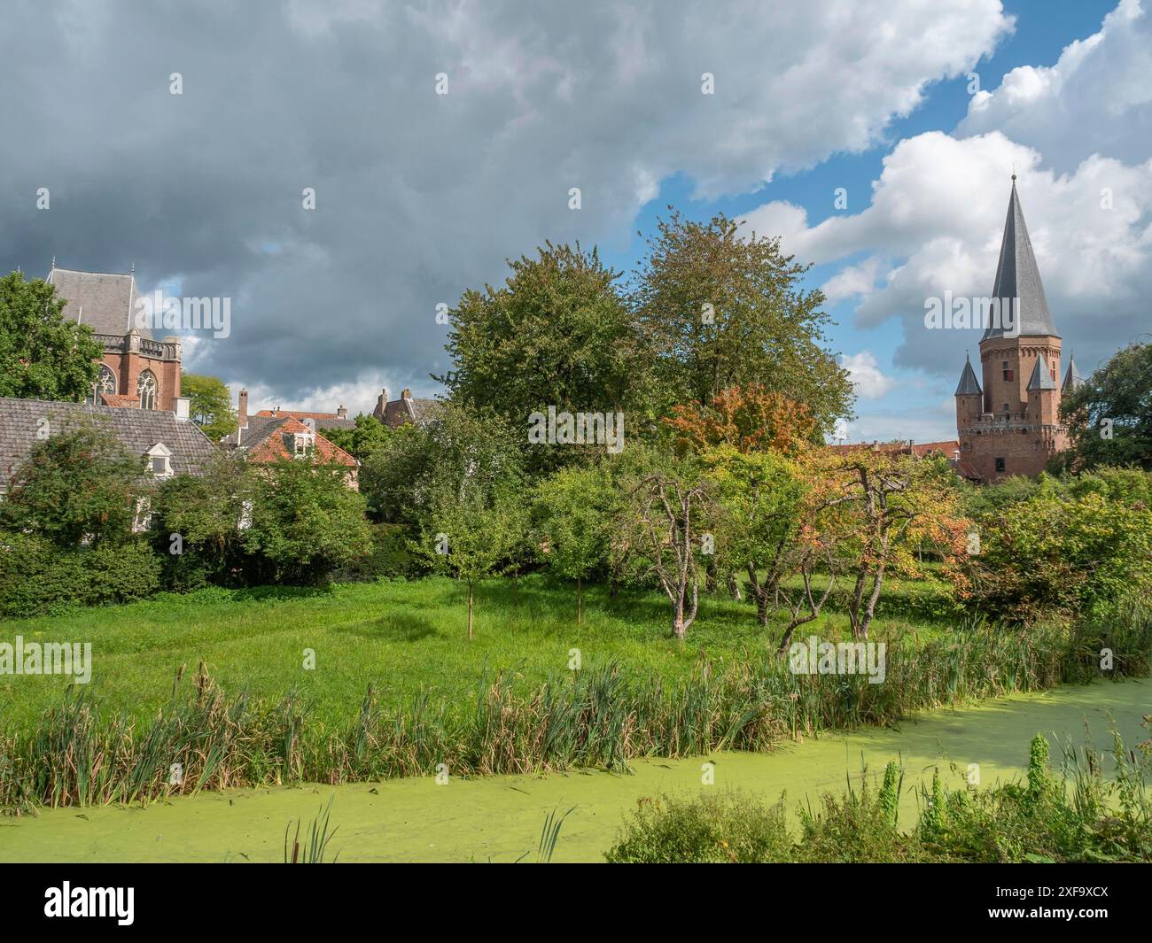 Green landscape with lakes and groups of trees, dominated by two church ...