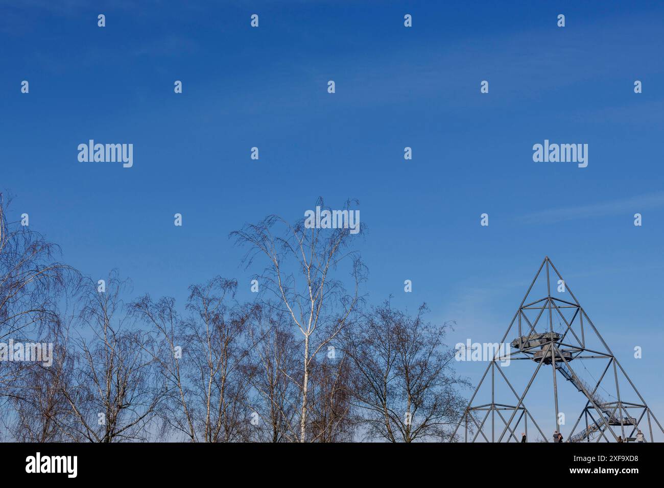 A large freestanding metal structure in front of trees and a cloudy ...