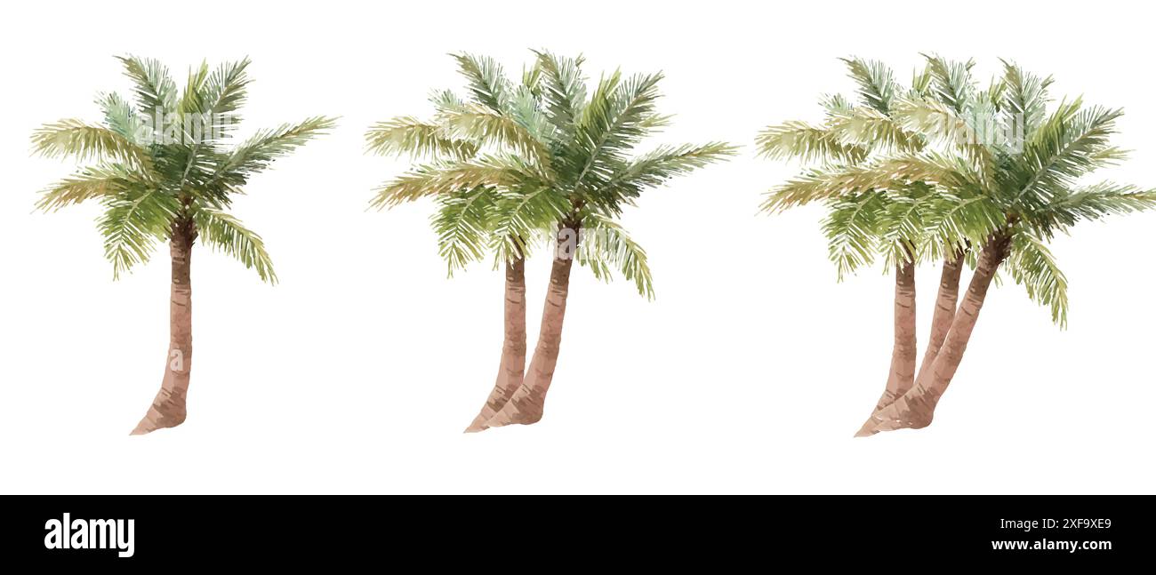 Arabian forest Stock Vector Images - Alamy